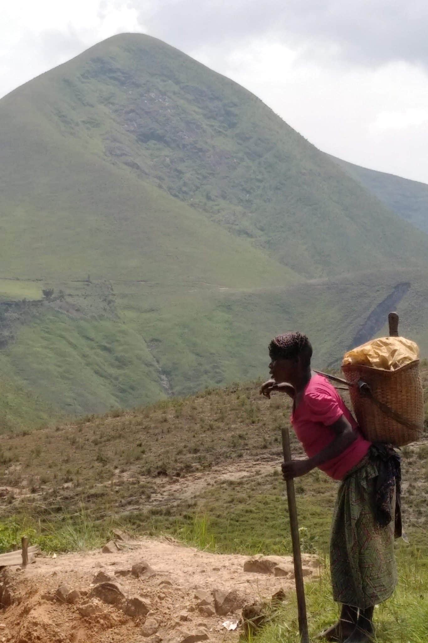 Strong Roots • The David and Lucile Packard Foundation