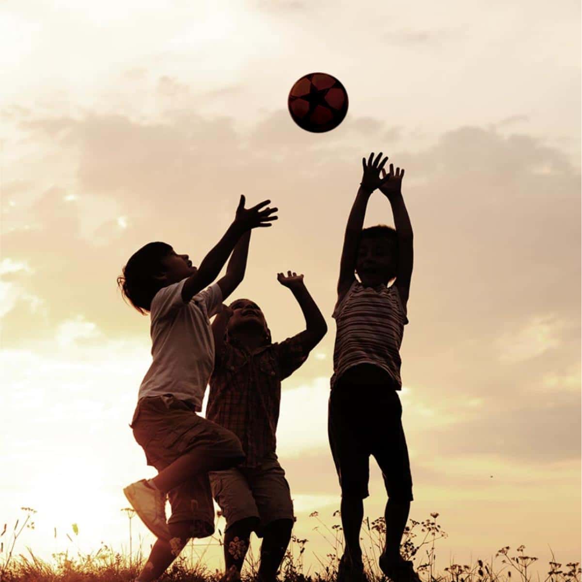 Our History • The David and Lucile Packard Foundation