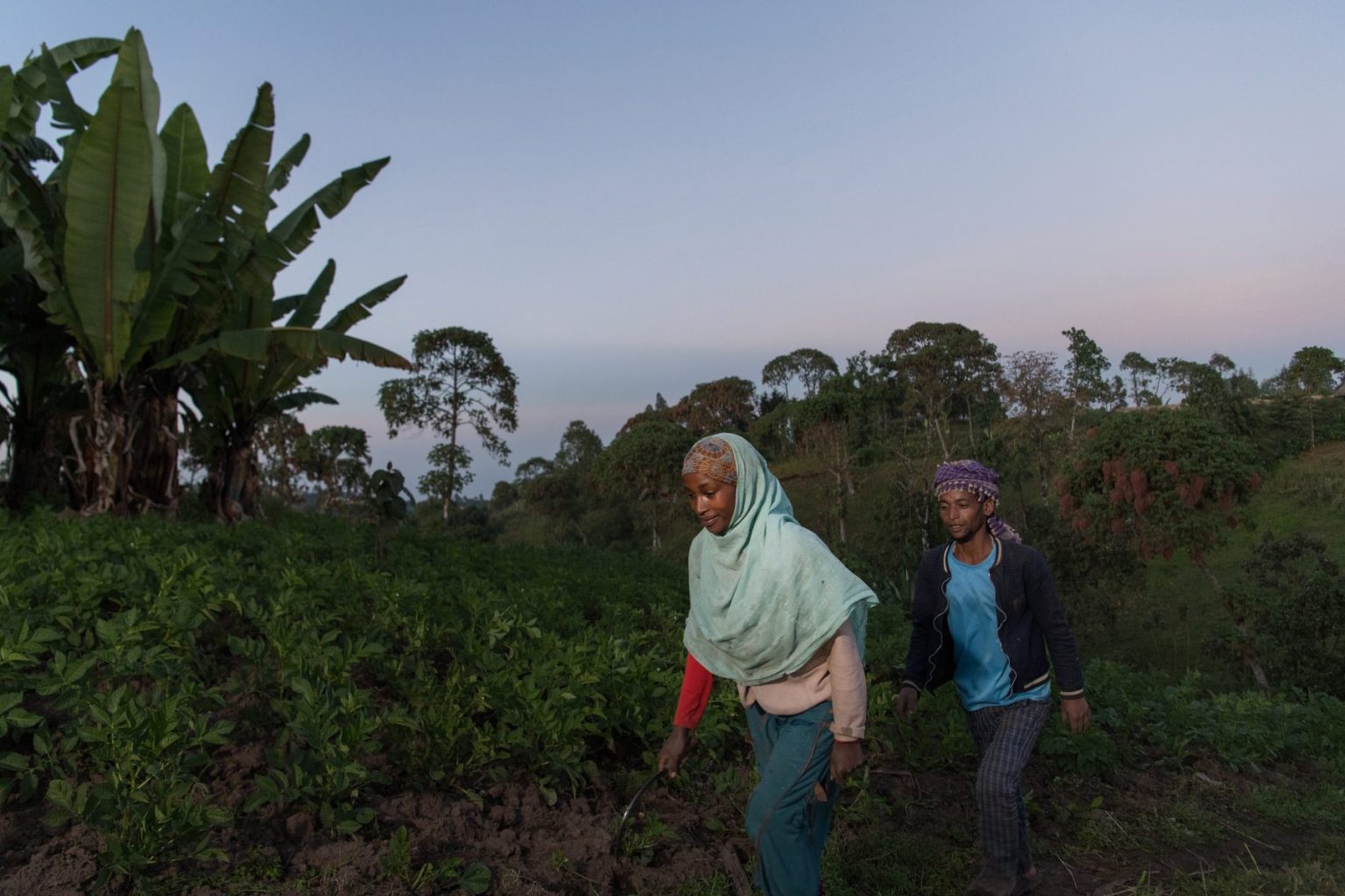 From Pledge to Action: An Update on Our Commitment to Indigenous ...