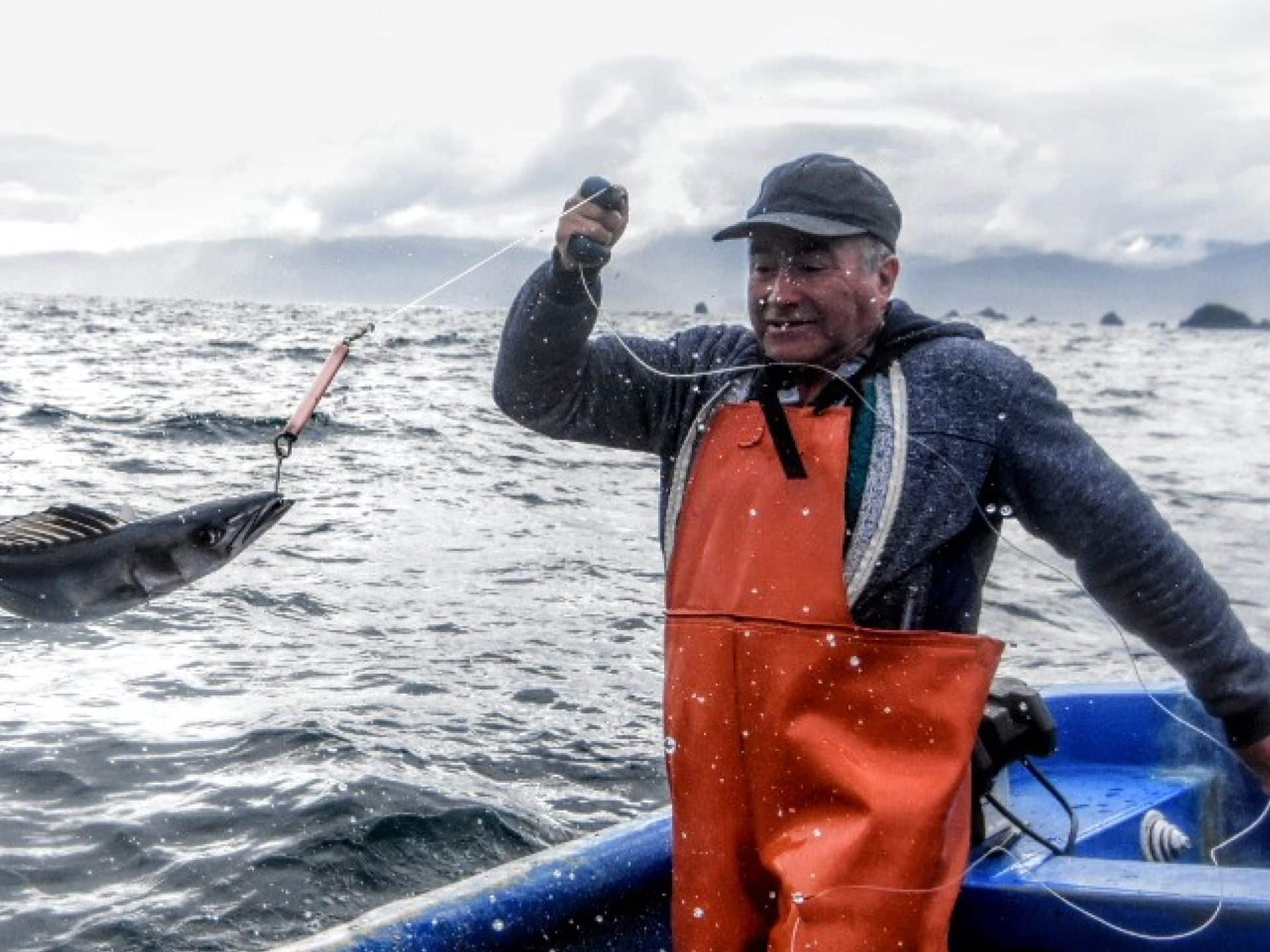 Ocean Initiative • The David and Lucile Packard Foundation