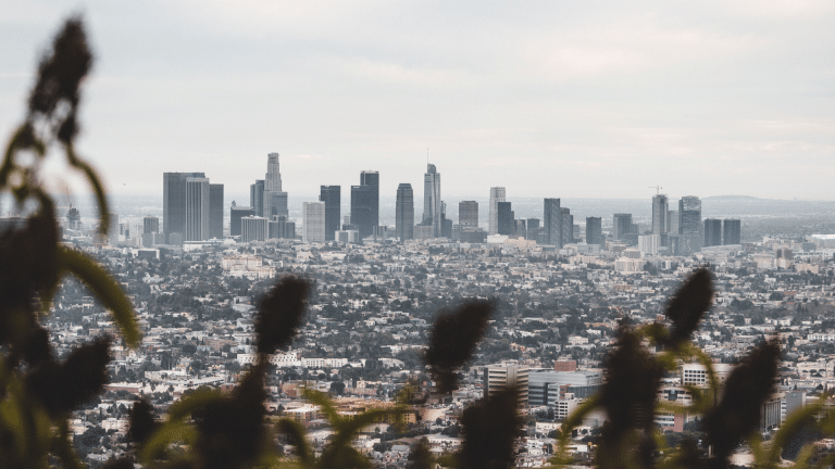 The David and Lucile Packard Foundation Announces the 2024 Class of ...