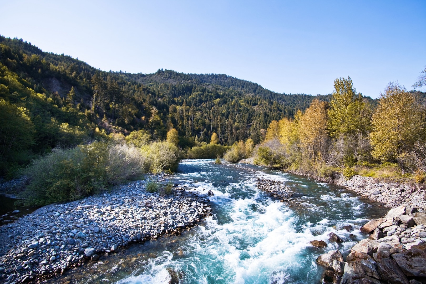 Yurok Tribe Secures Largest Land Back Transfer in California History ...