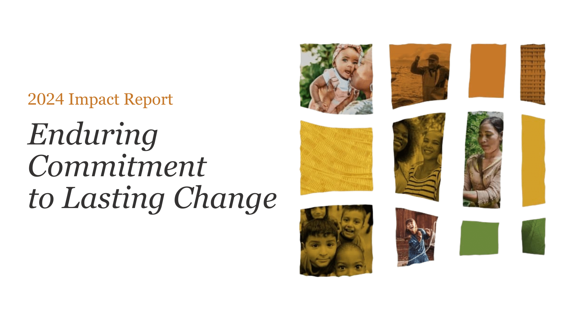 2024 Impact Report • The David and Lucile Packard Foundation